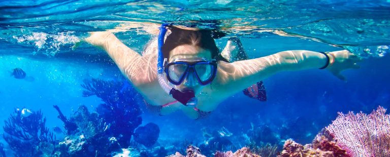 Wow Facts about Coral Reefs in Cancun! - Blog post